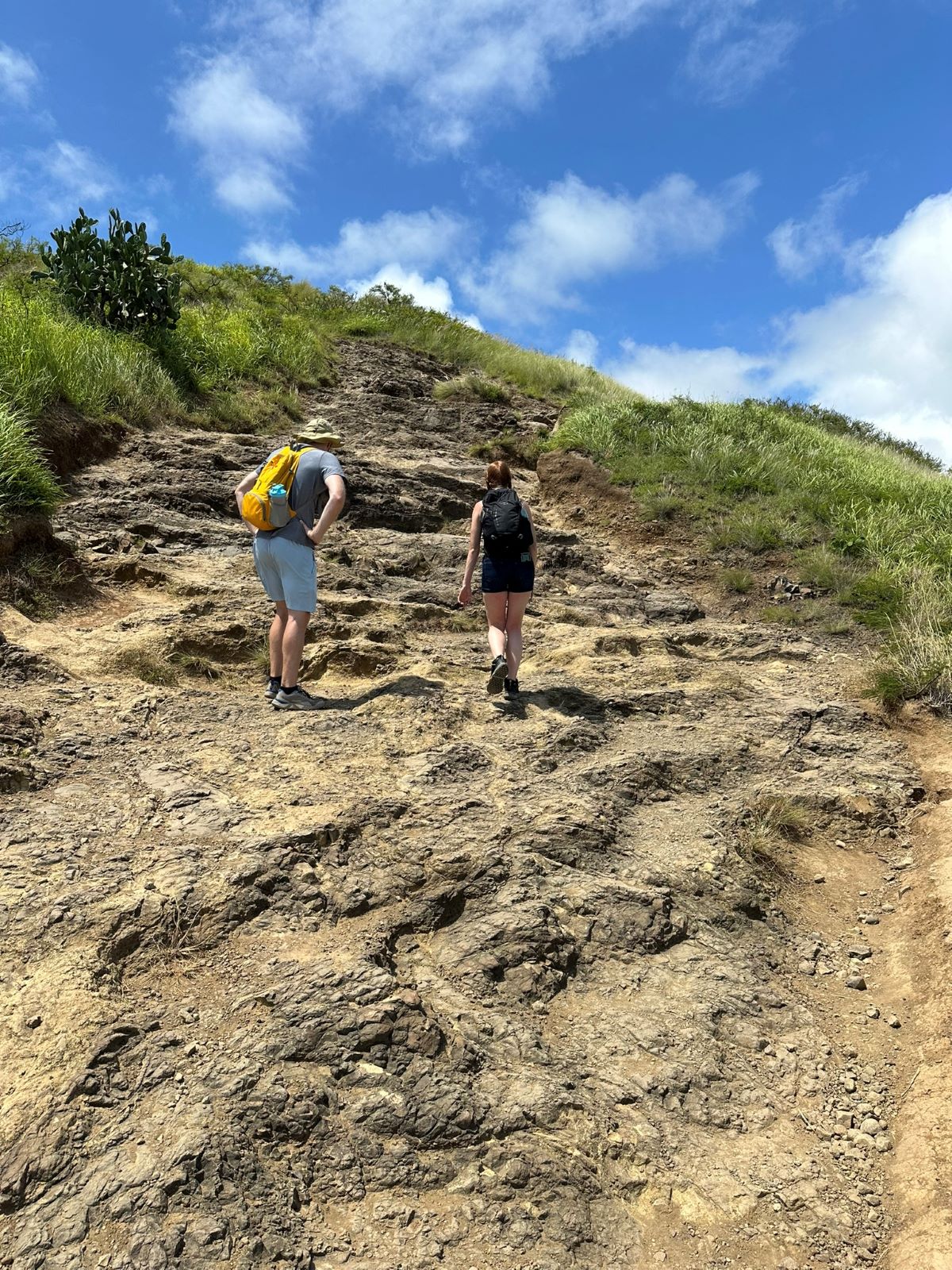 A Local's Guide to Hiking the Lanikai Pillbox Trail on Oahu ...
