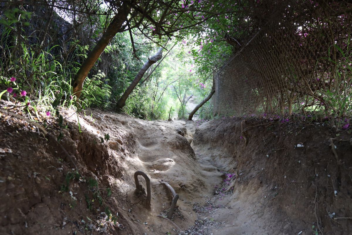 A Local's Guide to Hiking the Lanikai Pillbox Trail on Oahu ...