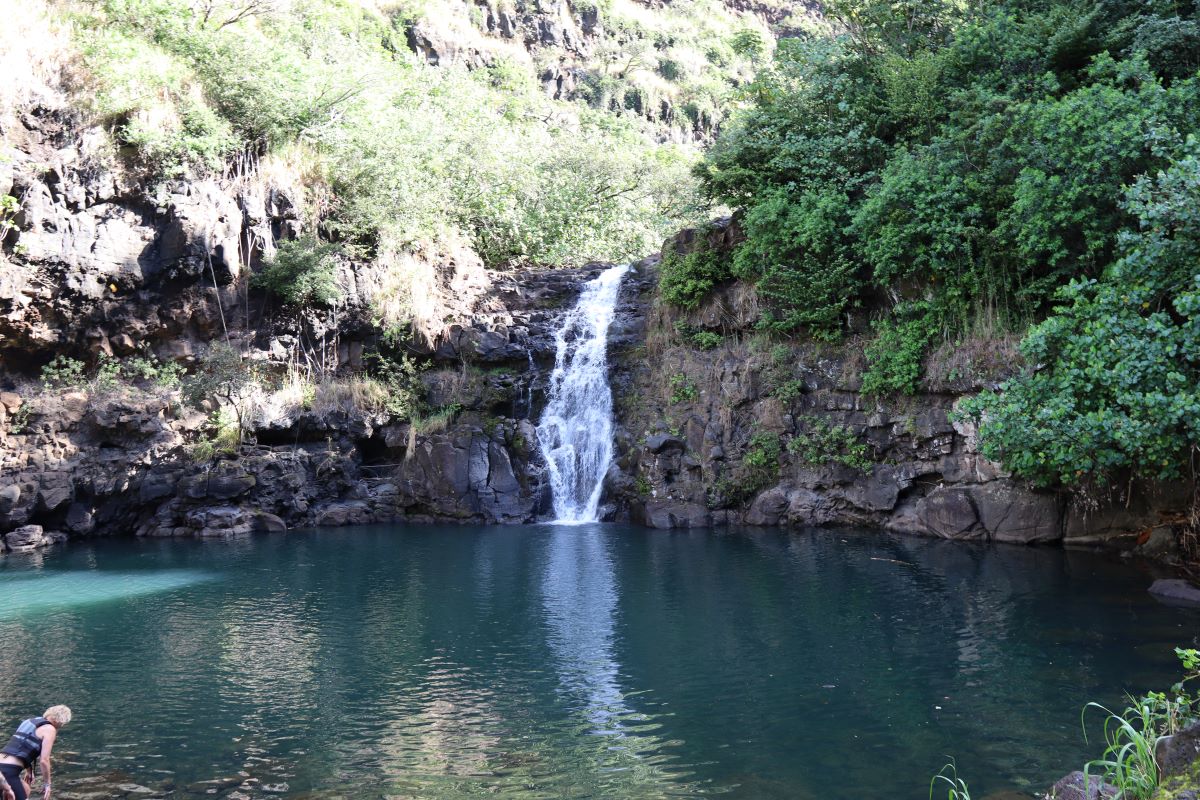 A Local's Guide to Visiting Waimea Falls and Botanical Garden ...