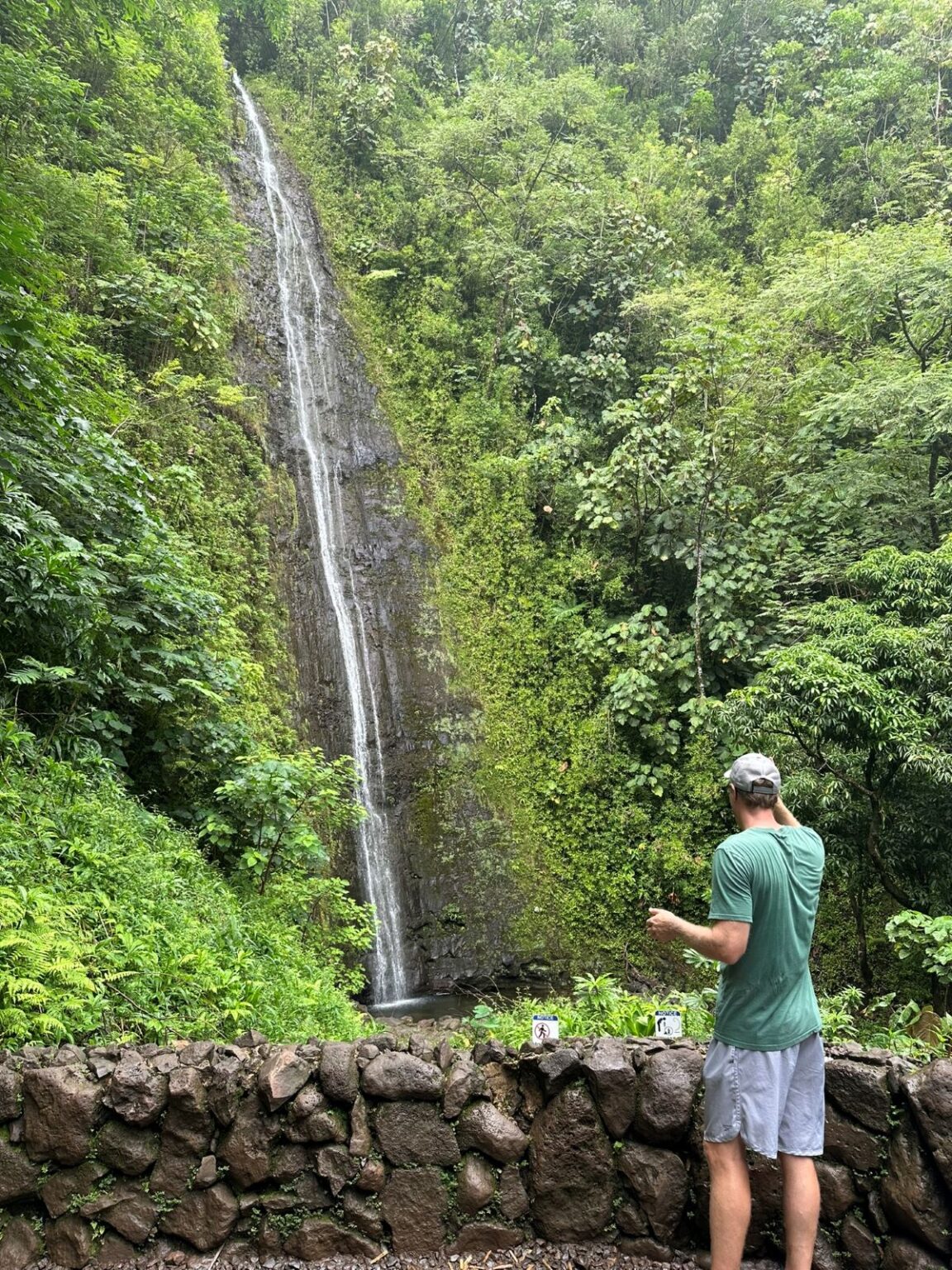 Manoa Falls Trail: A Local's Complete Guide - OahuTripPlanner.com