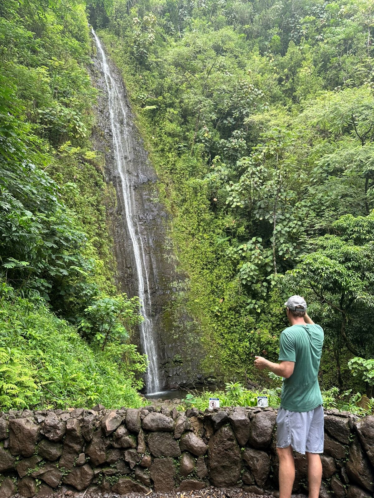 Manoa Falls Trail: A Local's Complete Guide - OahuTripPlanner.com
